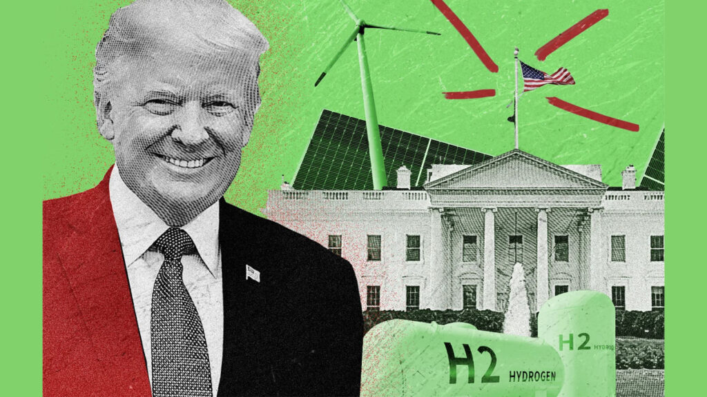 Green Energy Under Trump: A Pragmatic Path Forward? – Naked Politics